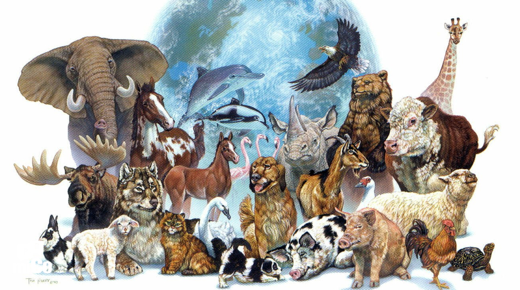 ¿Cuáles son los animales considerados puros e inmundos en el Antiguo ...